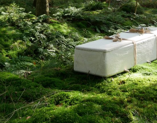 Loop Living Cocoon - World Future Awards