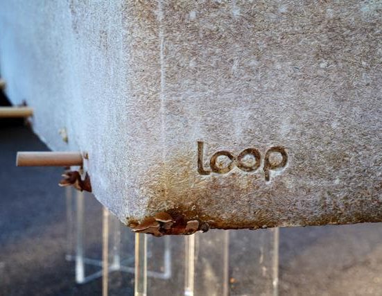 Loop Living Cocoon - World Future Awards