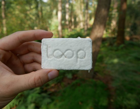 Loop Living Cocoon - World Future Awards