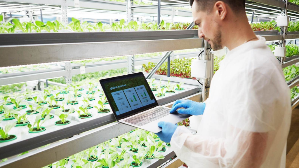 iFarm Wins World Future Awards for Revolutionizing Modern Agriculture ...